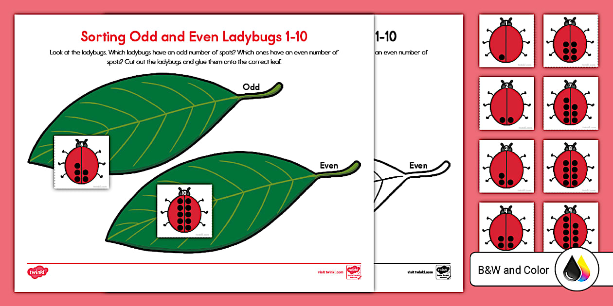 Sorting Odd and Even Ladybugs 1-10 Worksheet (teacher made)