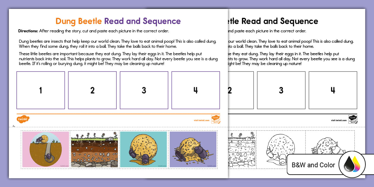 Kindergarten Dung Beetle Read and Sequence Cut and Paste Activity
