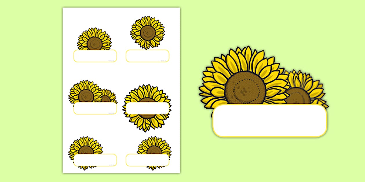 👉 Lovely Sunflower Labels | Resources for Primary School