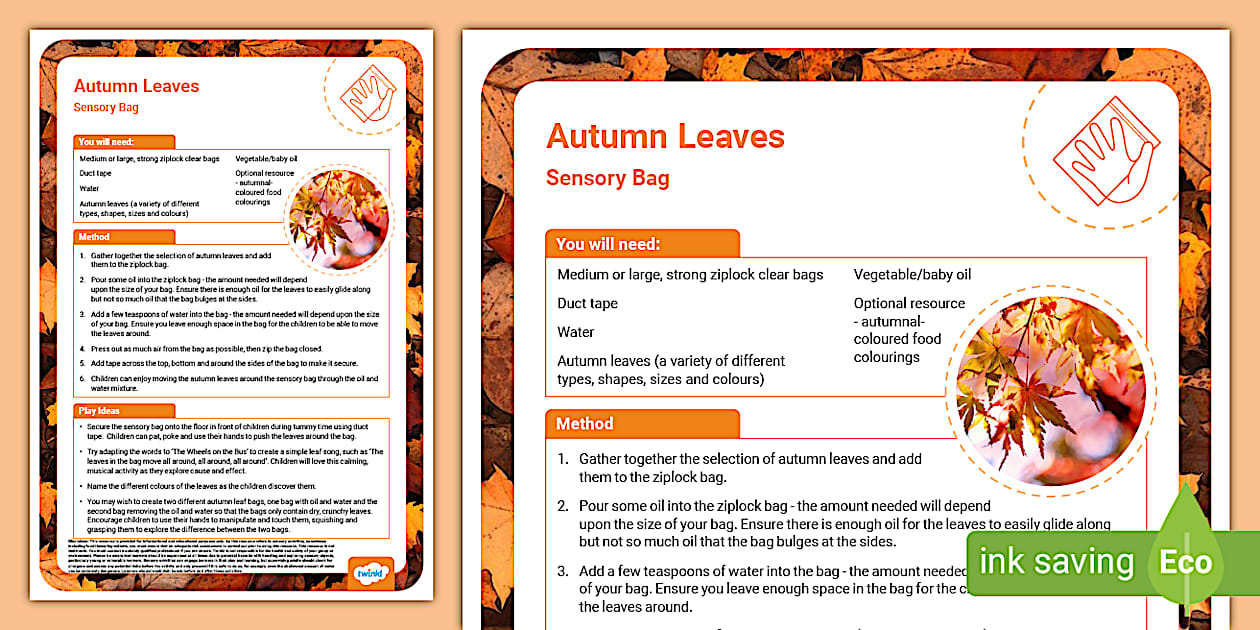 Autumn Leaves Sensory Bag | Leaf Sensory Activity | Twinkl