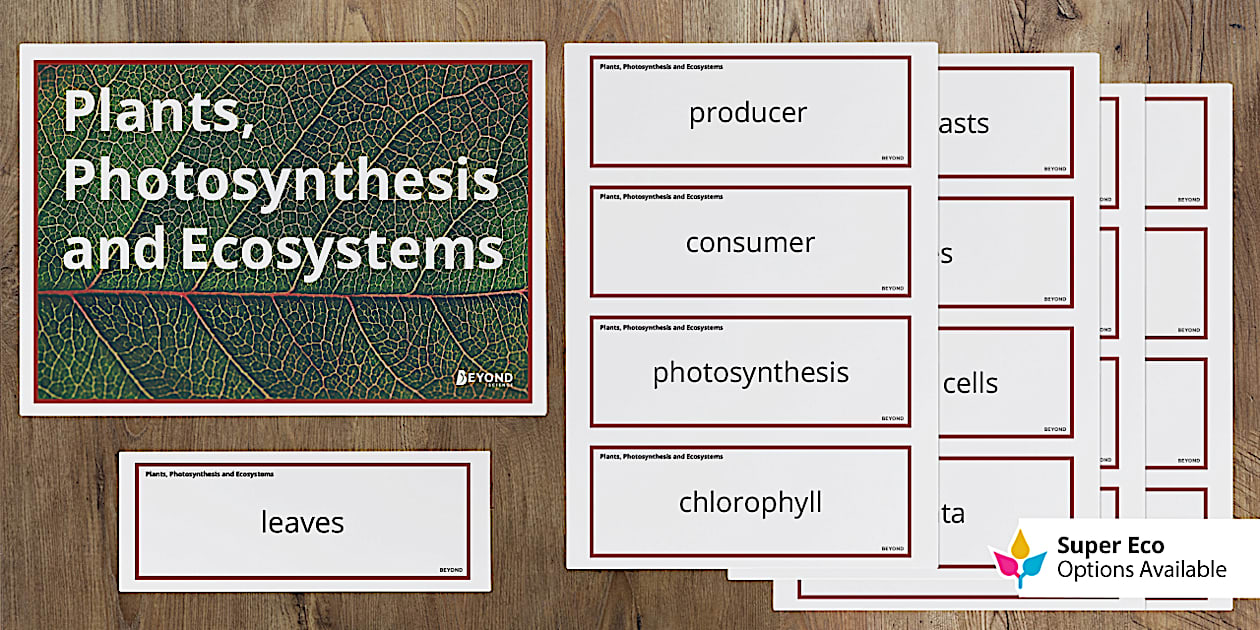 Plants, Photosynthesis and Ecosystems Word Wall - Twinkl