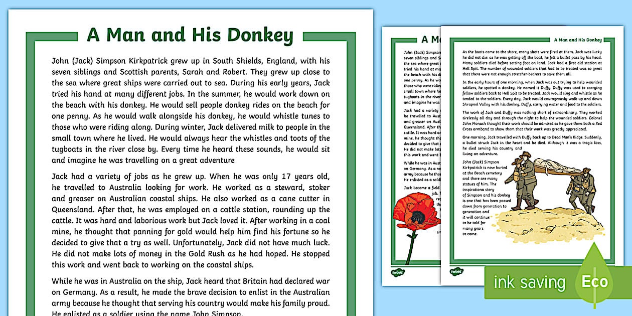 Cursive Simpson and his Donkey Fact File (teacher made)