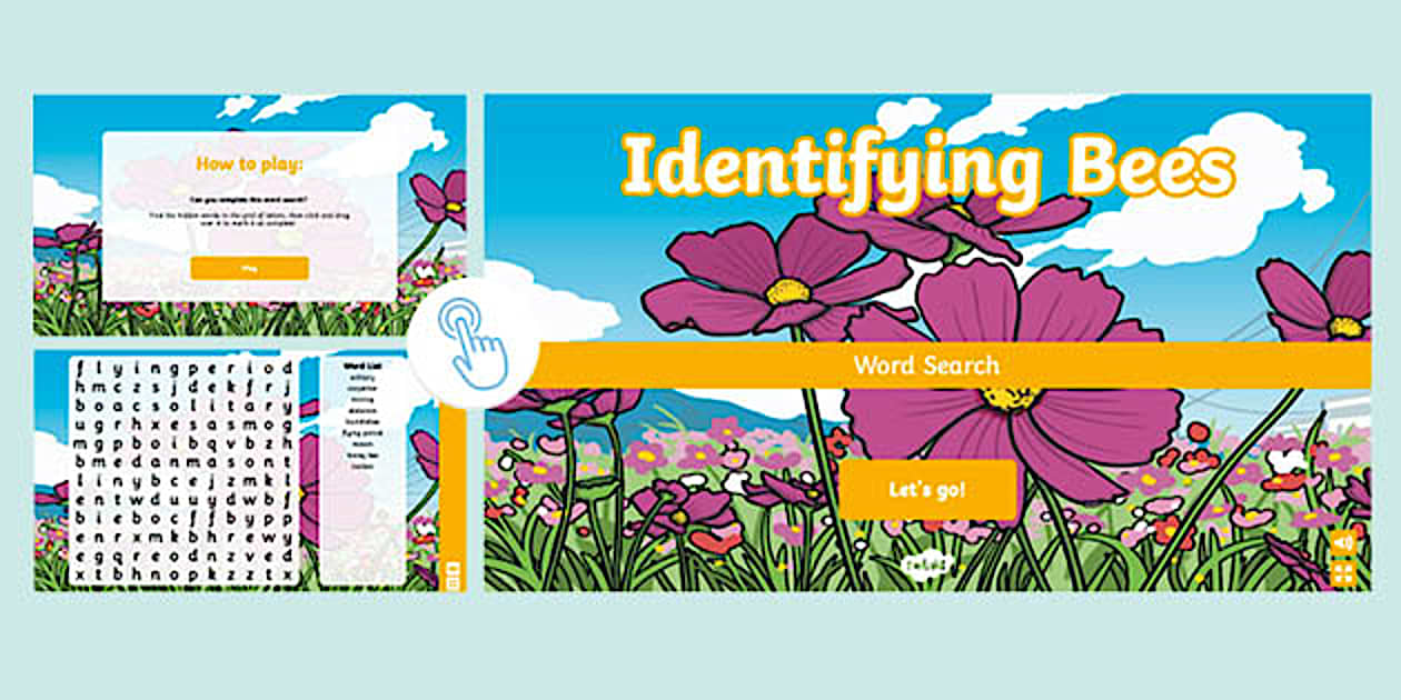 All About Bees Word Search | Primary Resources | Twinkl