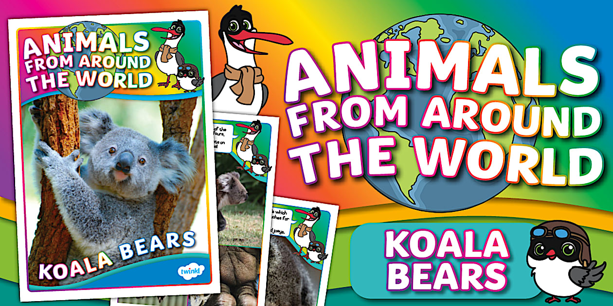 Animals from Around the World - Booklet: Koalas