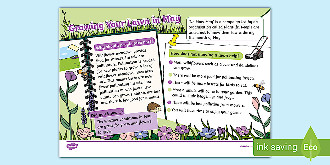 Growing Your Lawn in May KS1 Fact File (teacher made)