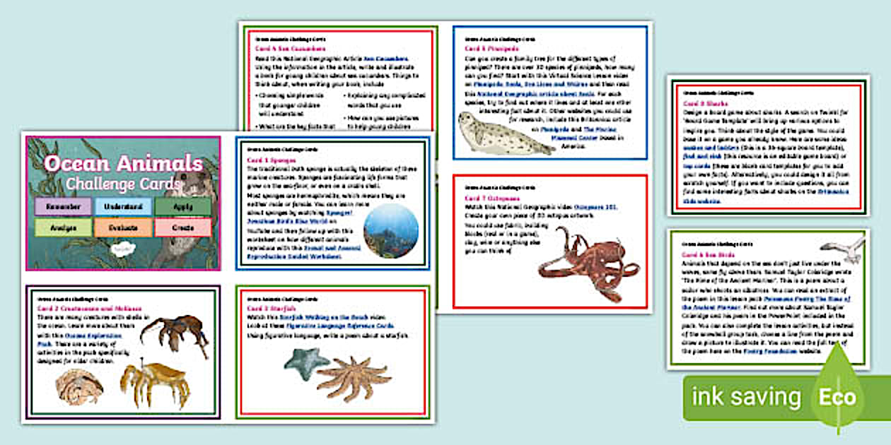 Ocean Animals Challenge Cards | Learning from Home | Twinkl