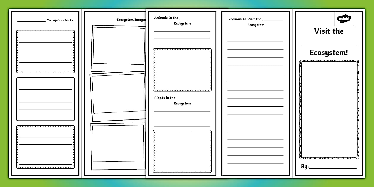 Ecosystem Brochure Research Worksheet for 3rd-5th Grade