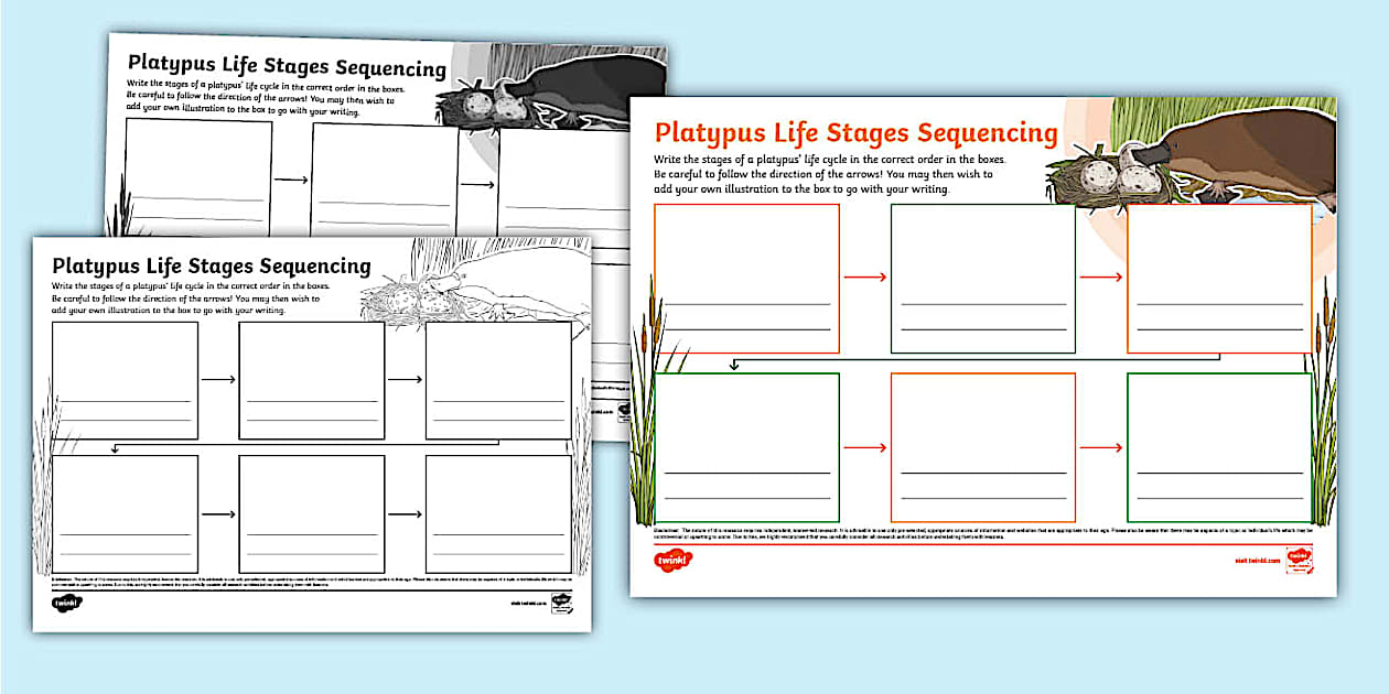 Platypus Life Stages Sequencing Mind Map (teacher made)