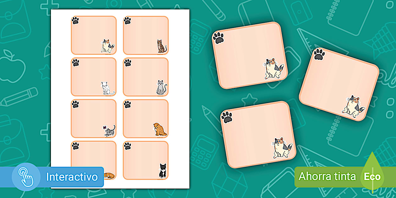 Etiquetas de gatitos (Teacher-Made) - Twinkl