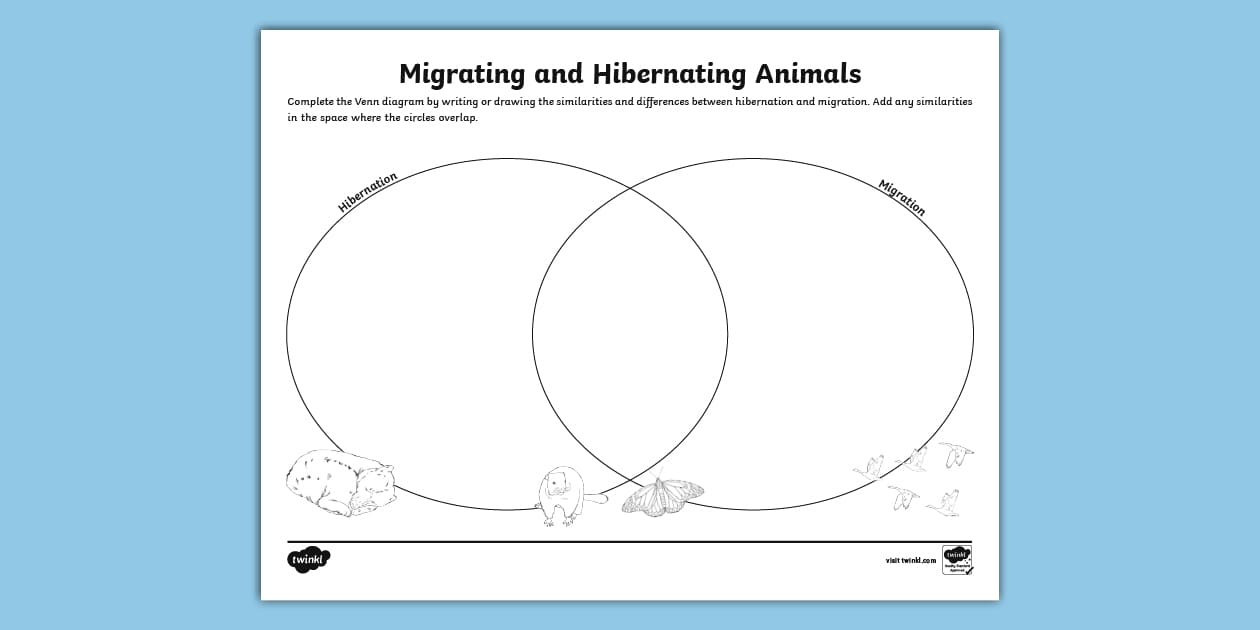 Migrating and Hibernating Animals Venn Diagram - Twinkl