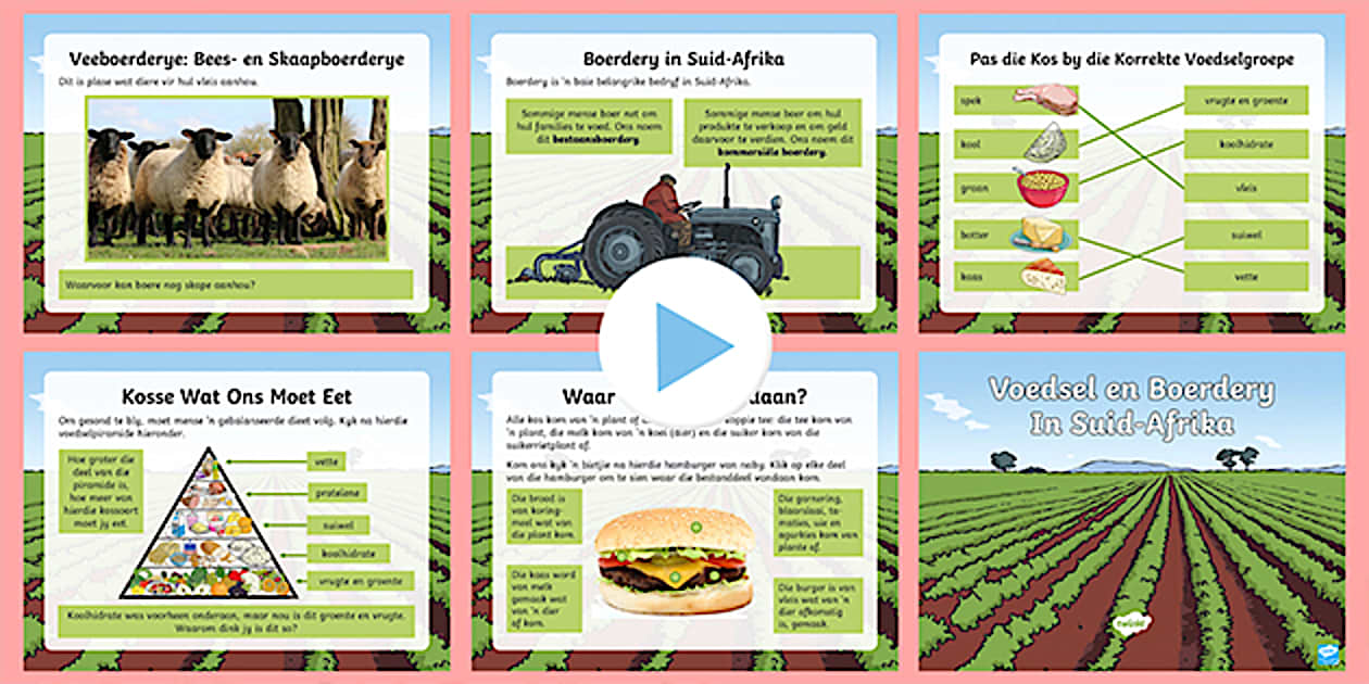 Bestaans-en- Kommersiële Boerdery PowerPoint - Graad 4