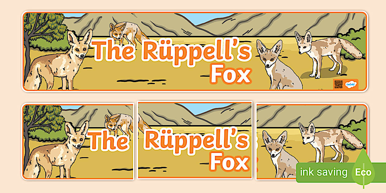 Rüppell's Fox Display Banner