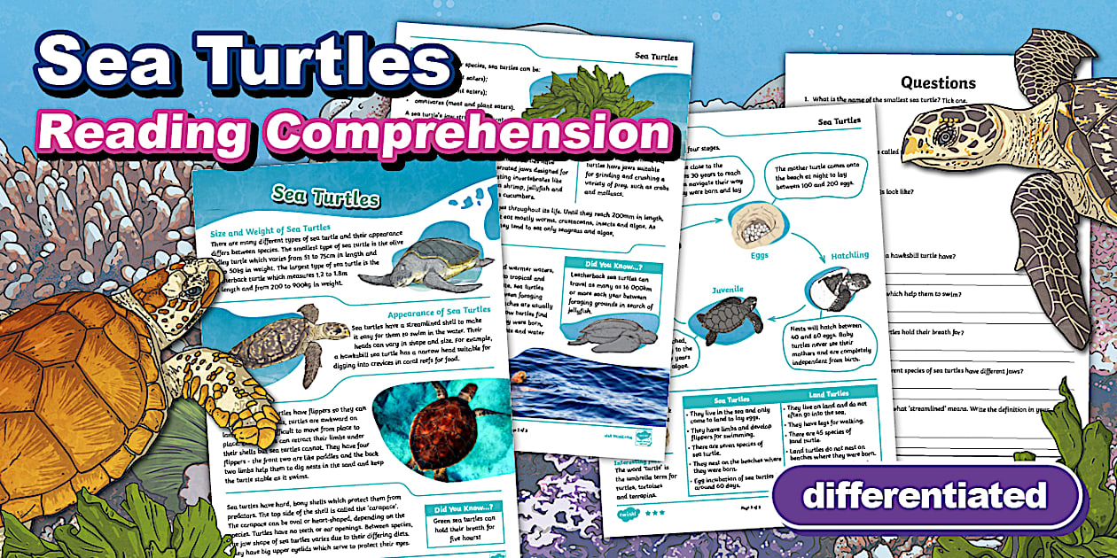 Sea Turtles Differentiated Reading Comprehension