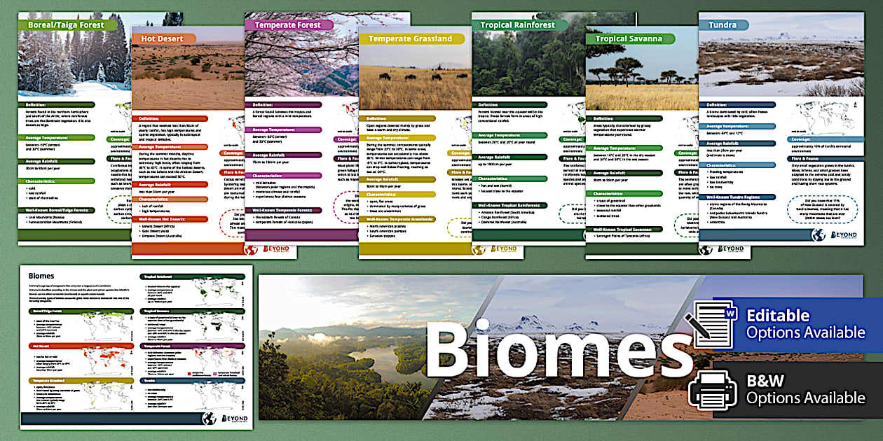 Biomes Display Pack: Defining Biomes | Geography | Beyond