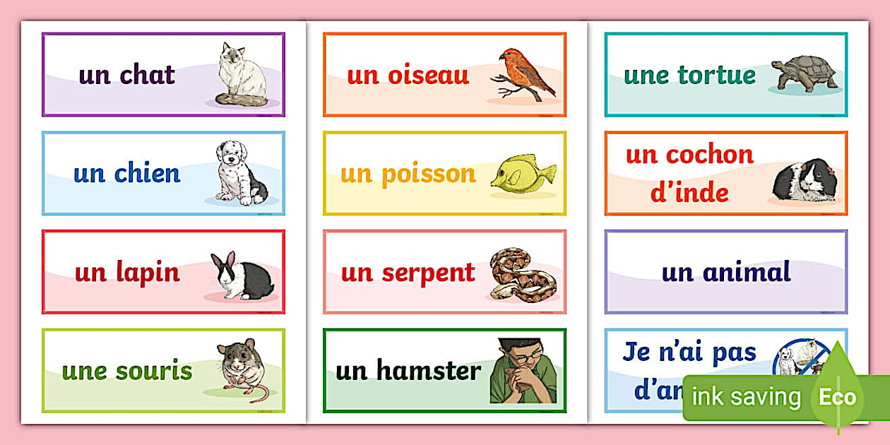 French Pets Word Cards (professor feito) - Twinkl