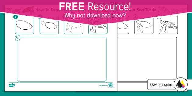 FREE How To Draw a Sea Turtle Art Activity (teacher made)