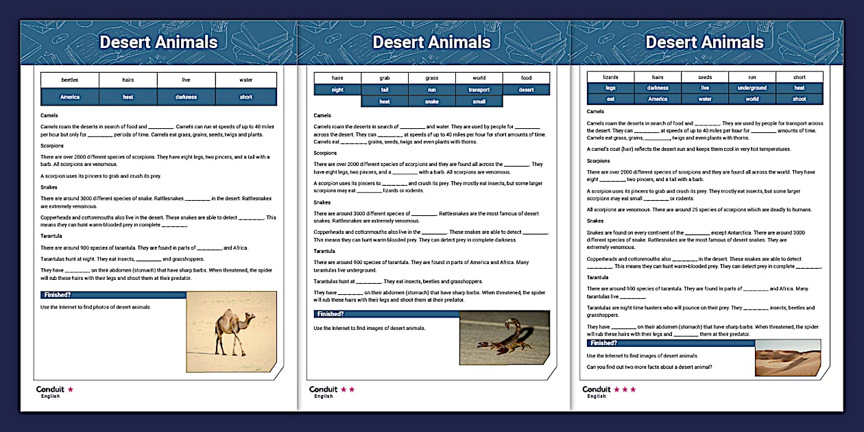 Reinforcing Reading: Desert Animals Cloze Passages - Twinkl