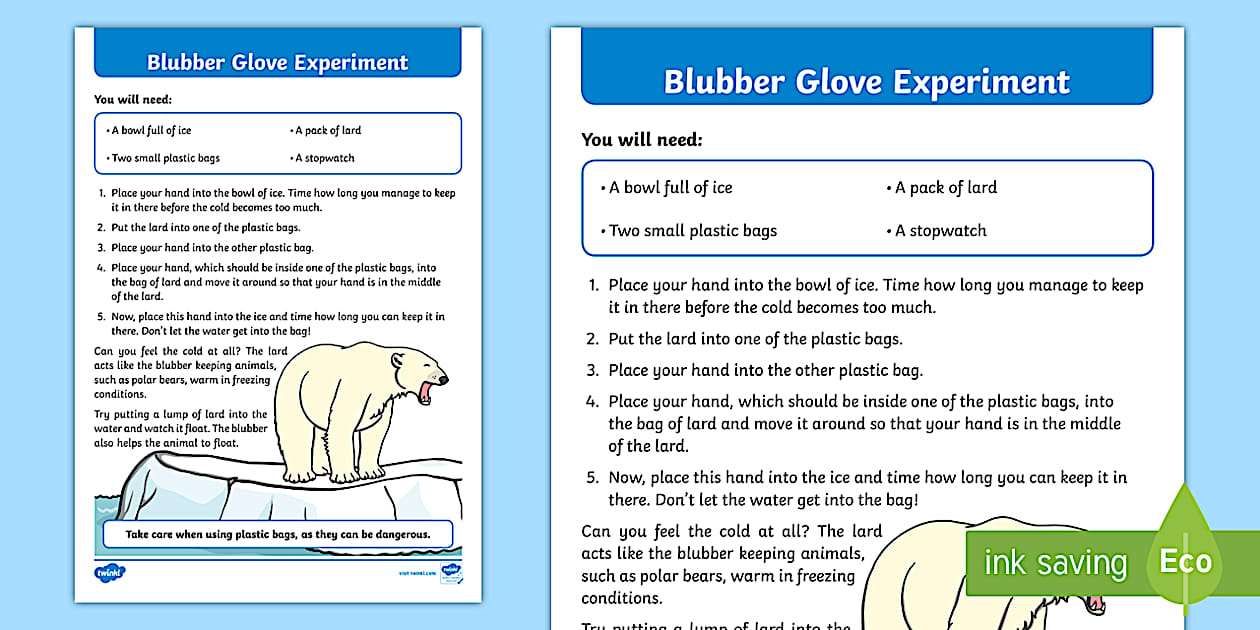 Blubber Experiment (teacher made) - Twinkl