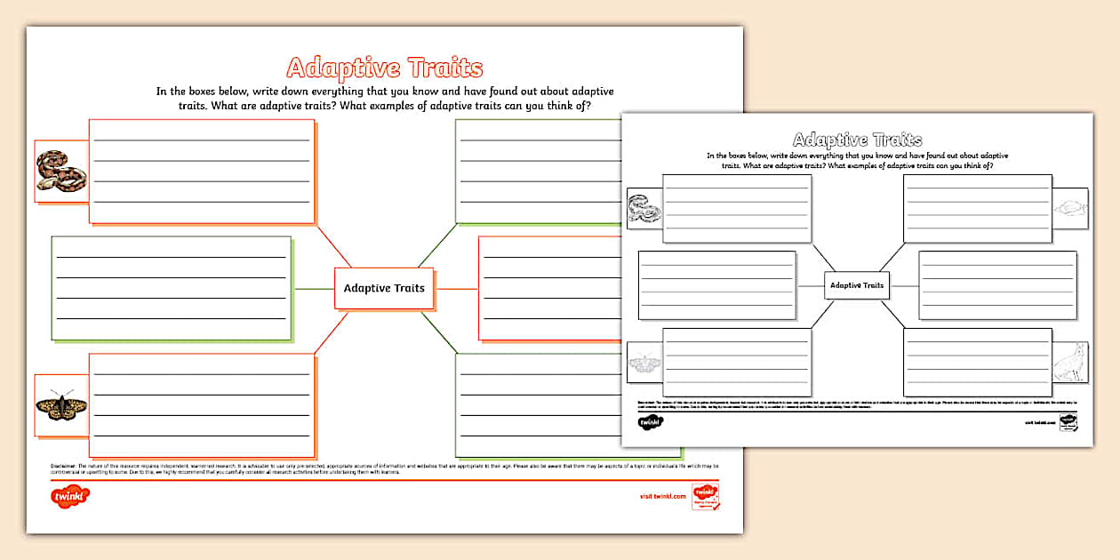 Adaptive Traits Mind Map (teacher made) - Twinkl