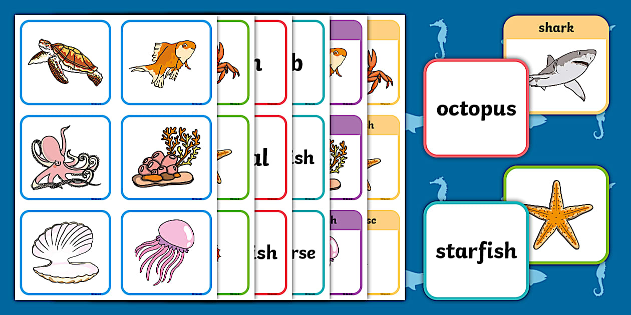 FREE! - Special Matching Cards : Under the Sea - Twinkl