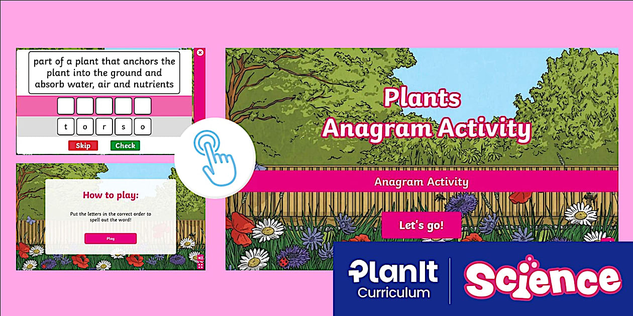 Plants Anagram Activity (teacher made) - Twinkl