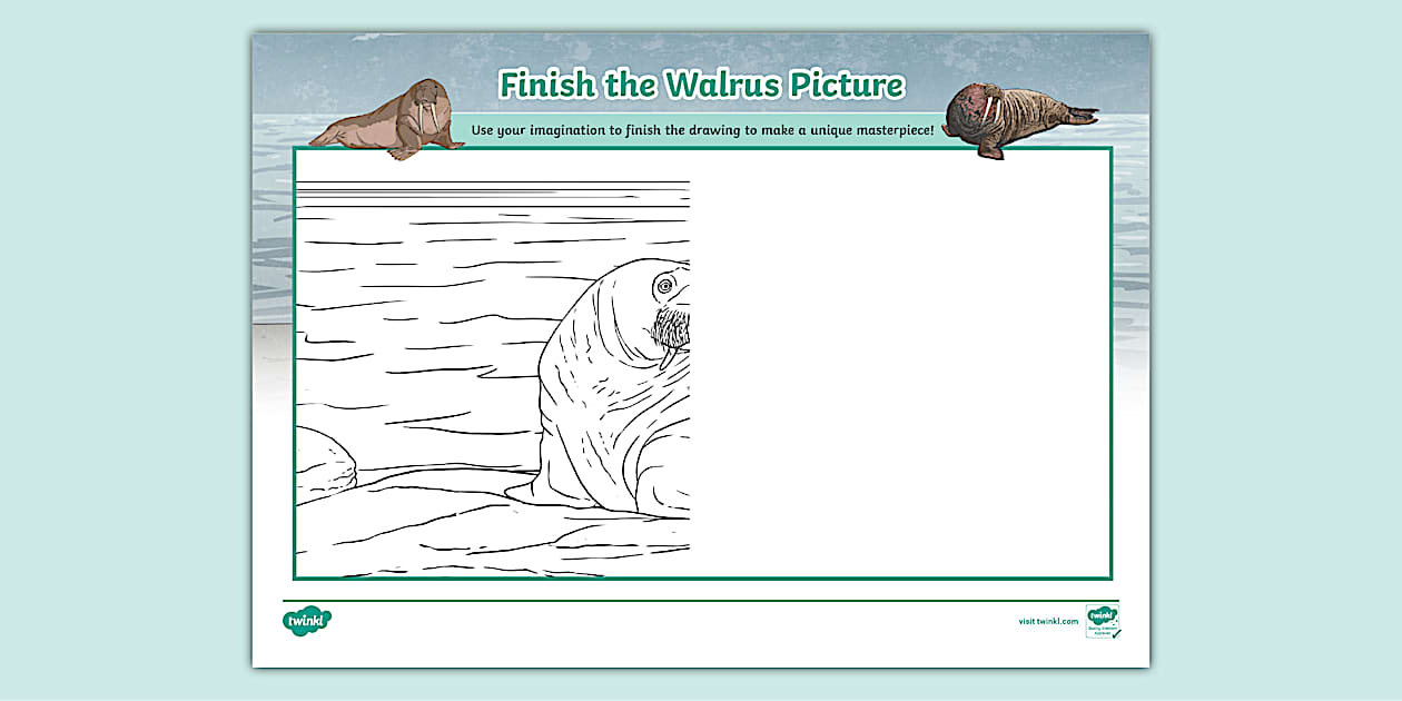 Finish the Walrus Picture Worksheet (teacher made) - Twinkl