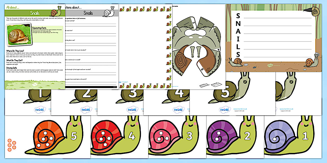 Snail Activities For Early Years - Primary (teacher made)