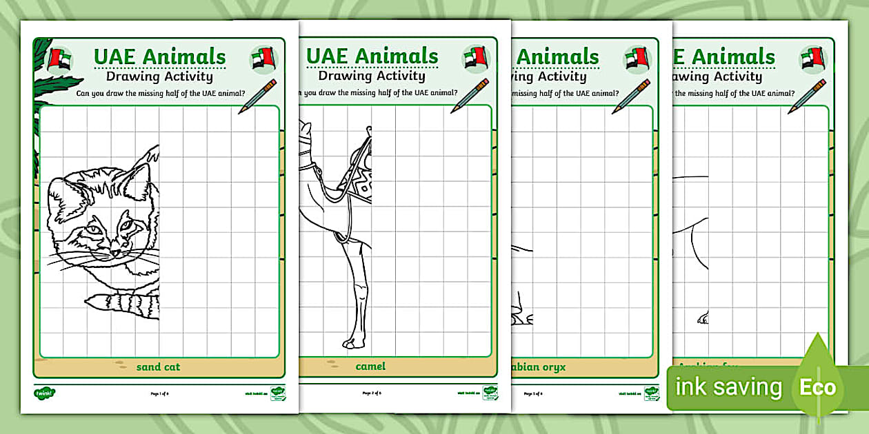 UAE Animals Symmetry Activity (teacher made) - Twinkl