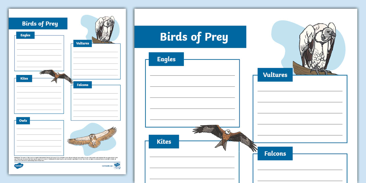 Birds of Prey Fact File Template (teacher made) - Twinkl