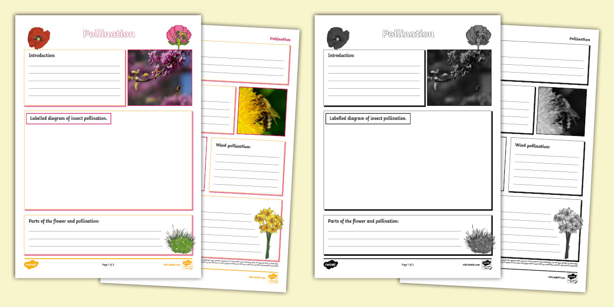 Pollination Non-Chronological Report Template