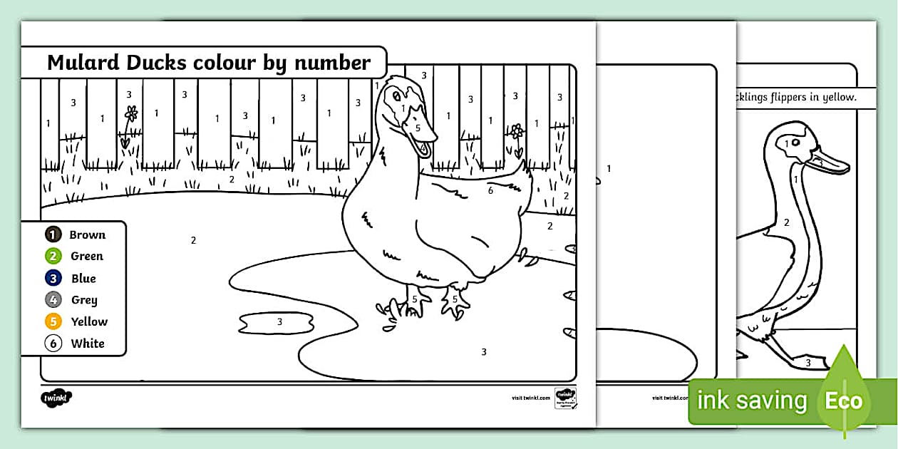 Pack of Mulard Ducks Colour-by-Number Pages | Twinkl | KS1