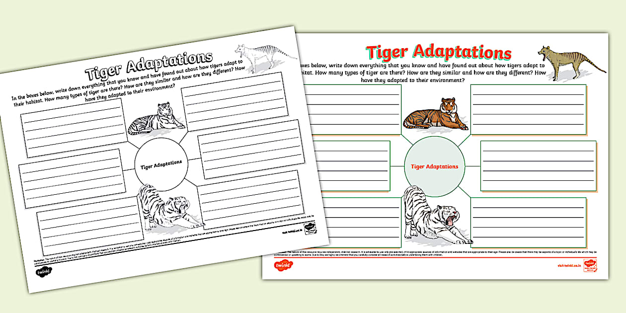 Tiger Adaptations Mind Map (teacher made) - Twinkl