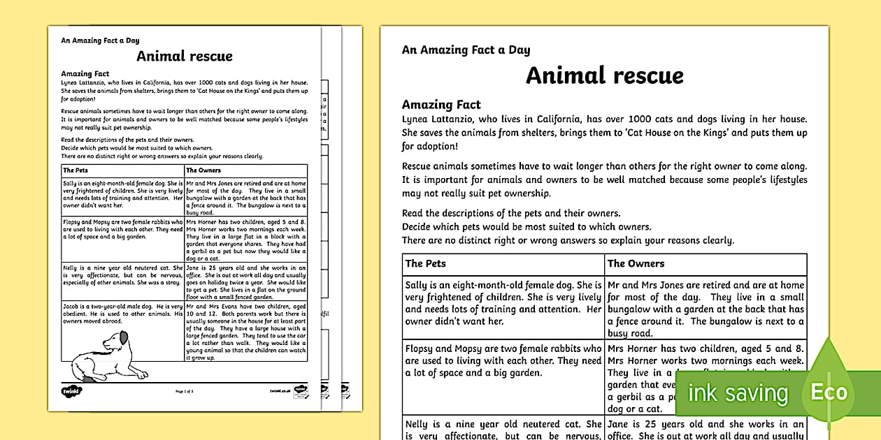 Animal Rescue Worksheet / Worksheet
