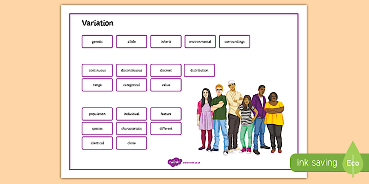 Editable Variation Word Mat (Hecho por educadores) - Twinkl