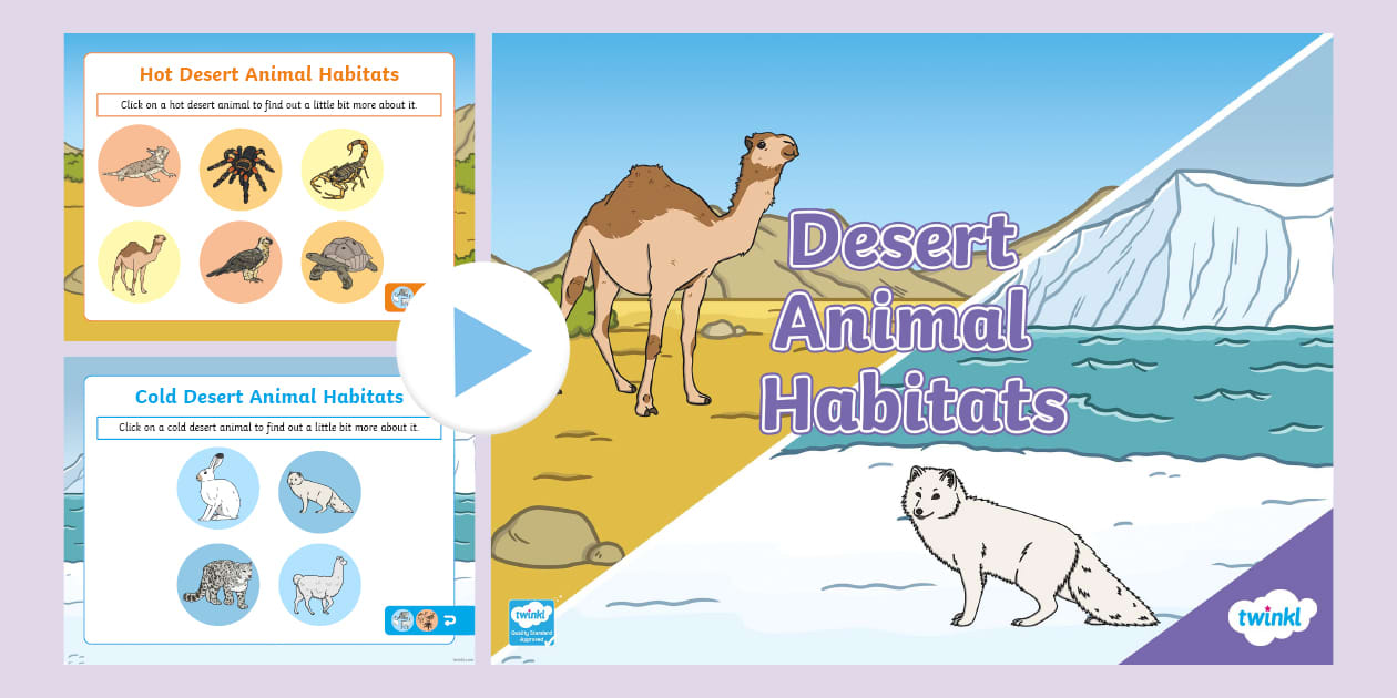 Desert Habitat Animals Adaptations and Desert PowerPoint