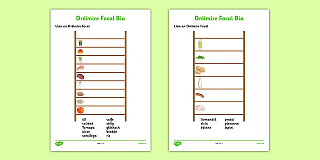 Bia Word Ladder (teacher made) - Twinkl