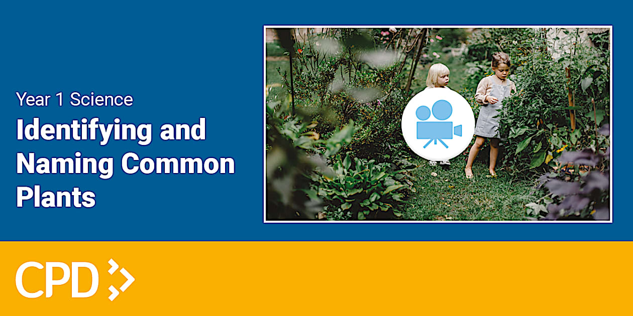 Identifying and Naming Common Plants in Year 1 CPD Video