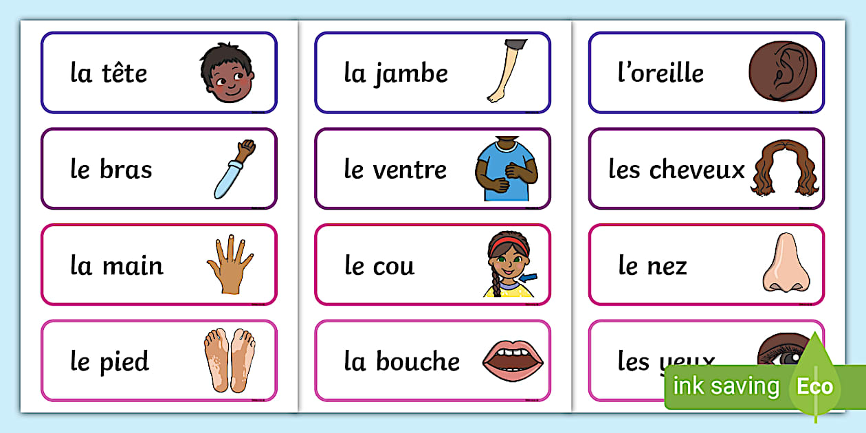 Parts of the Body in French | French Language