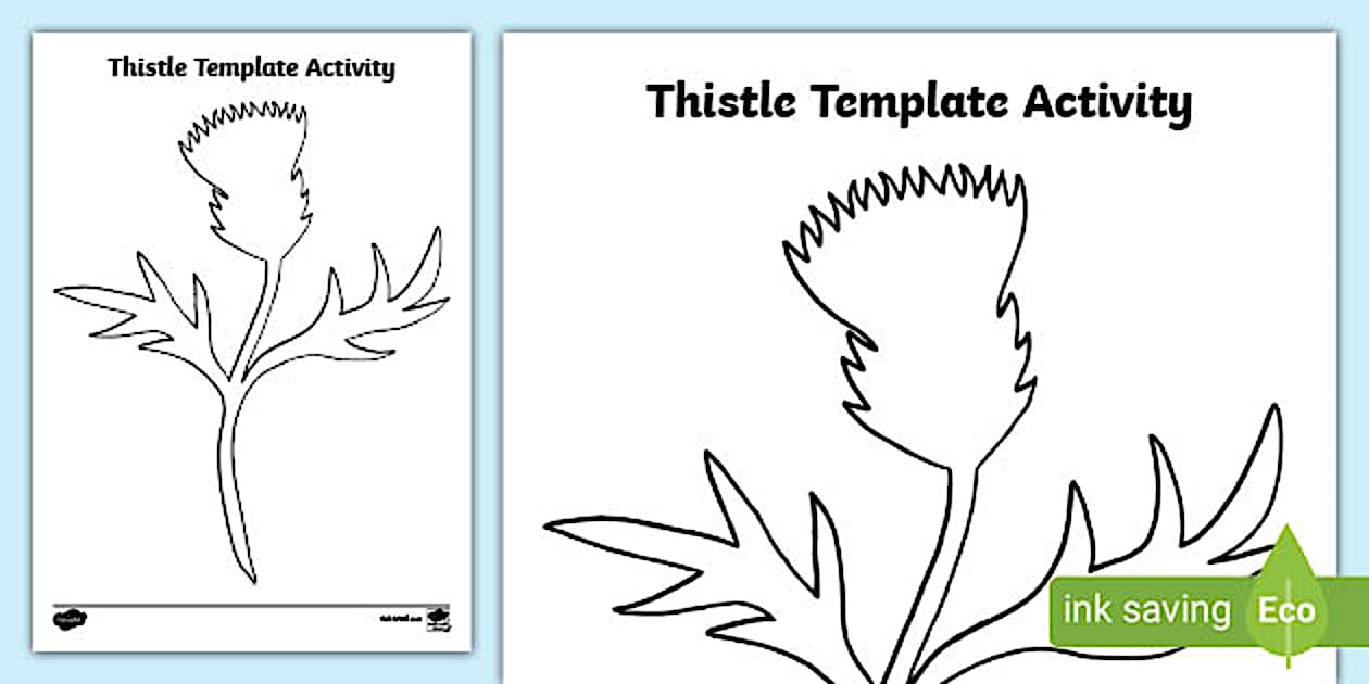 Thistle Template – CfE First Level Activity Sheet - Twinkl
