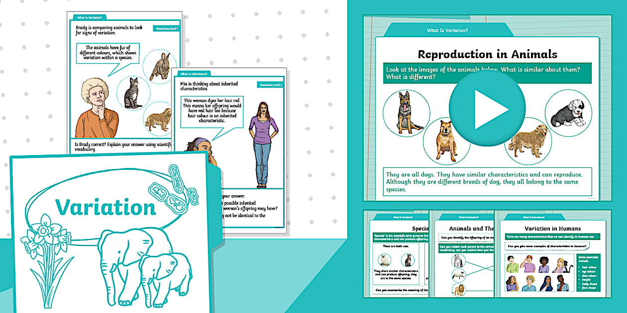 Stepping into Science: Y6: Summer: Variation: Steps 1 to 2