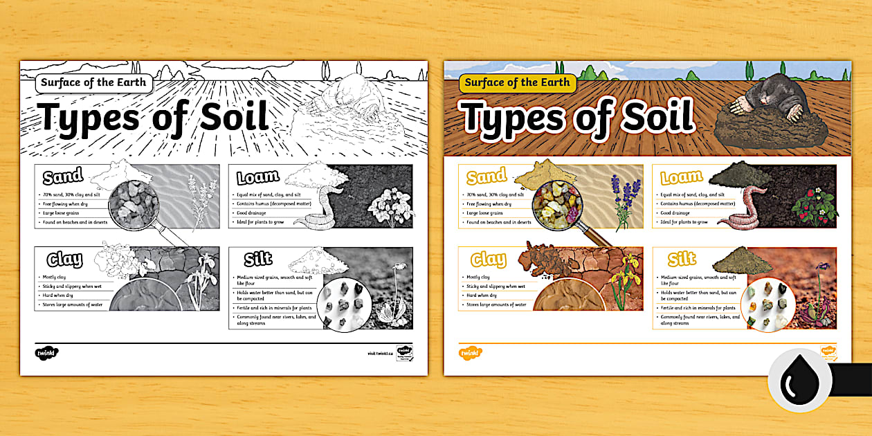Four Types of Soil Poster