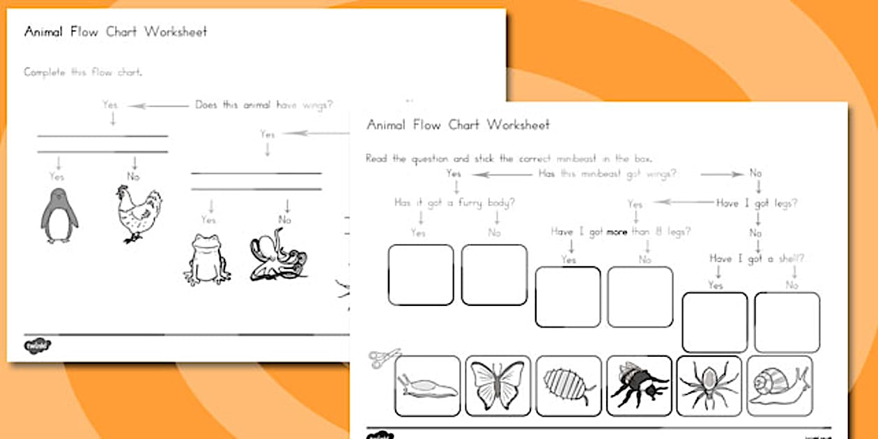 Animal Flow Chart Worksheets (Teacher-Made) - Twinkl