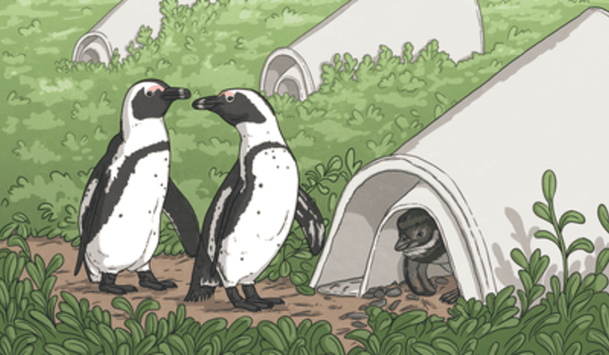 Penguin Awareness Day - Twinkl NewsRoom - Twinkl