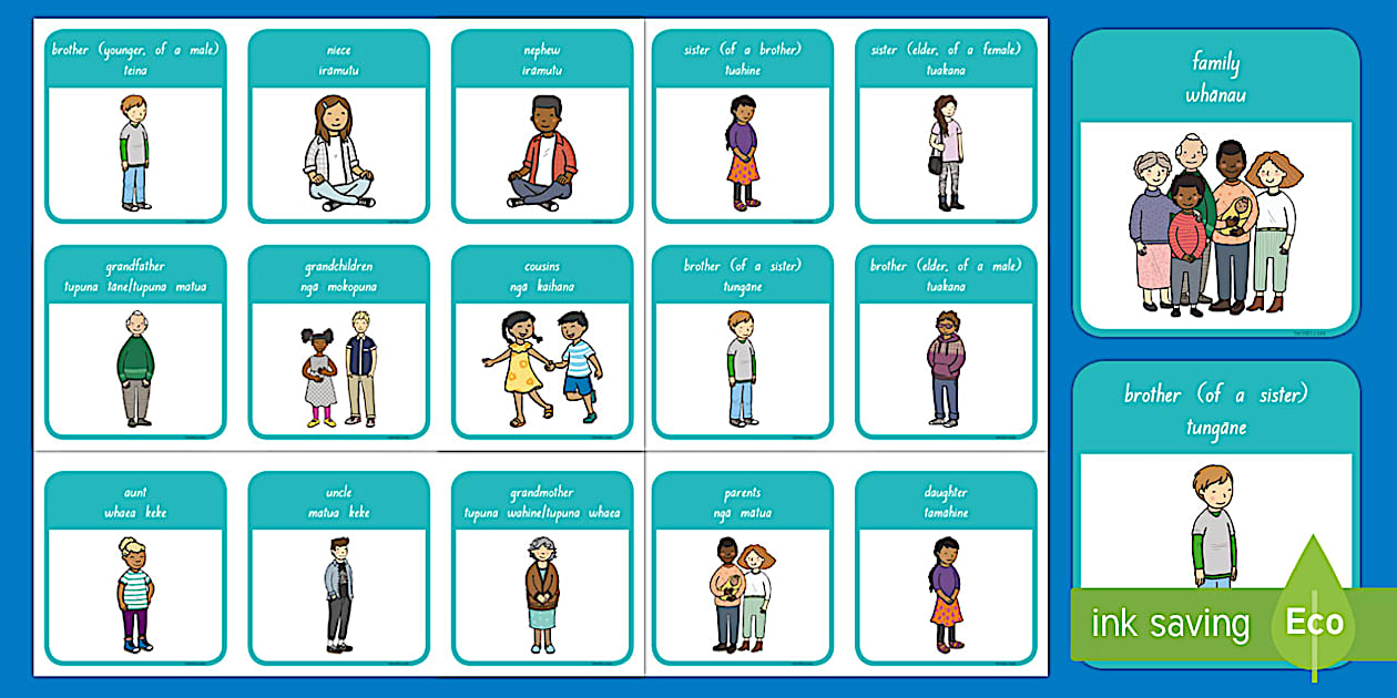 My Family Matching Cards English/Te Reo Māori - Twinkl