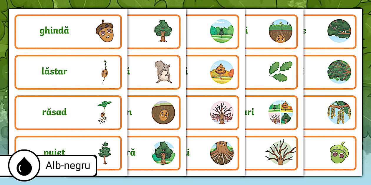 Micuțele ghinde – Cartonașe cu vocabular (Teacher-Made)