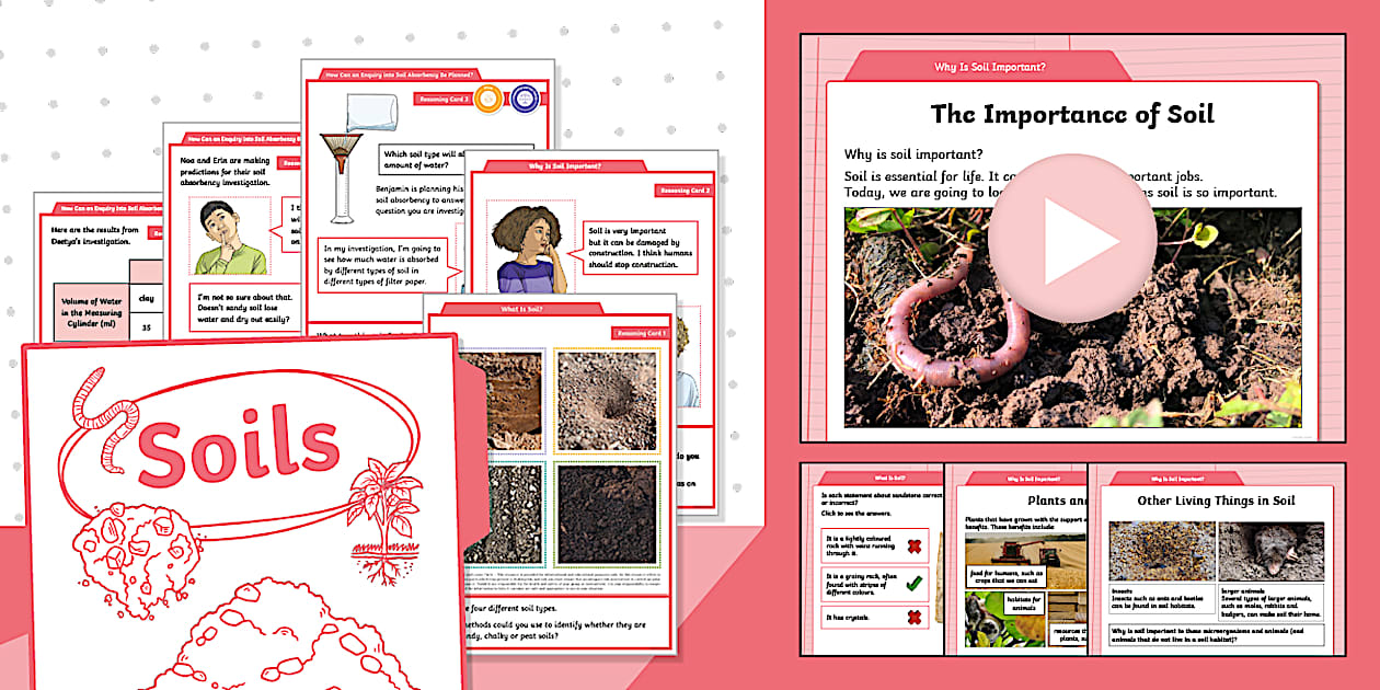 Step into Science: Y3: Spring: Block 2: Soil: Steps 1 to 5