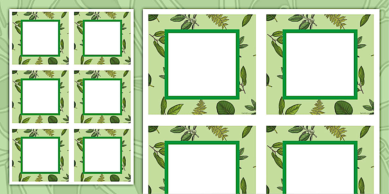 NZ Native Botanical Bag Hook Labels (teacher made) - Twinkl