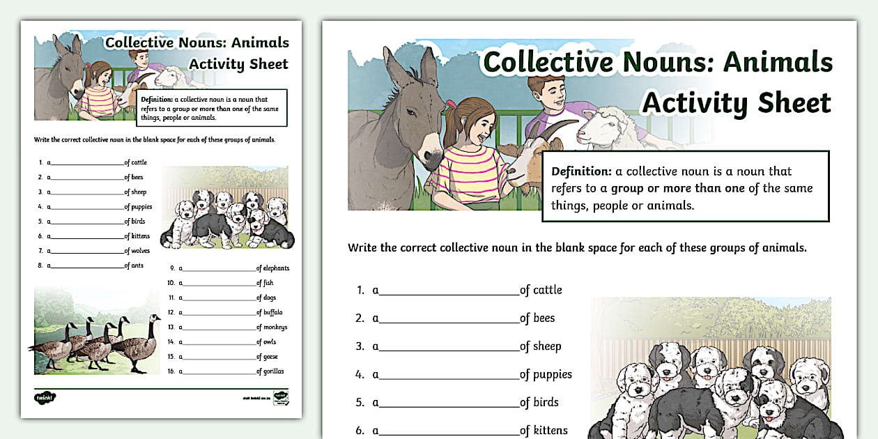 Intermediate Phase - English - Collective Nouns: Animals - Activity Sheet