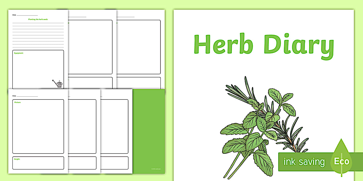 Growing Herbs Diary Writing Frames - Growing Cress Diary Writing Frames