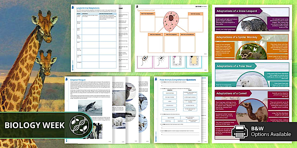 KS3 Biology Week Resource Pack | Science | Beyond - Twinkl